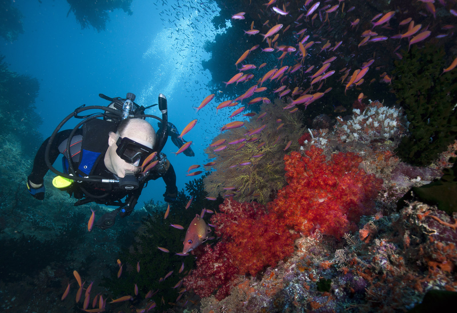 Cebu Scuba Diving with Granada Beach Resort Philippines Islands